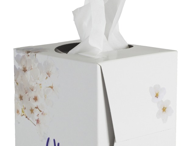 White Cube Tissue White 2 ply 70 tissue | HOTEL AND FACIAL TISSUES ...